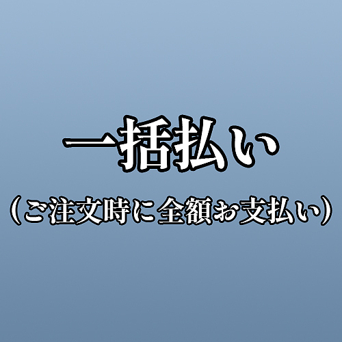 魅惑的なラブドール Real Lady 150cm T7 豊満なバスト ダッチワイフ